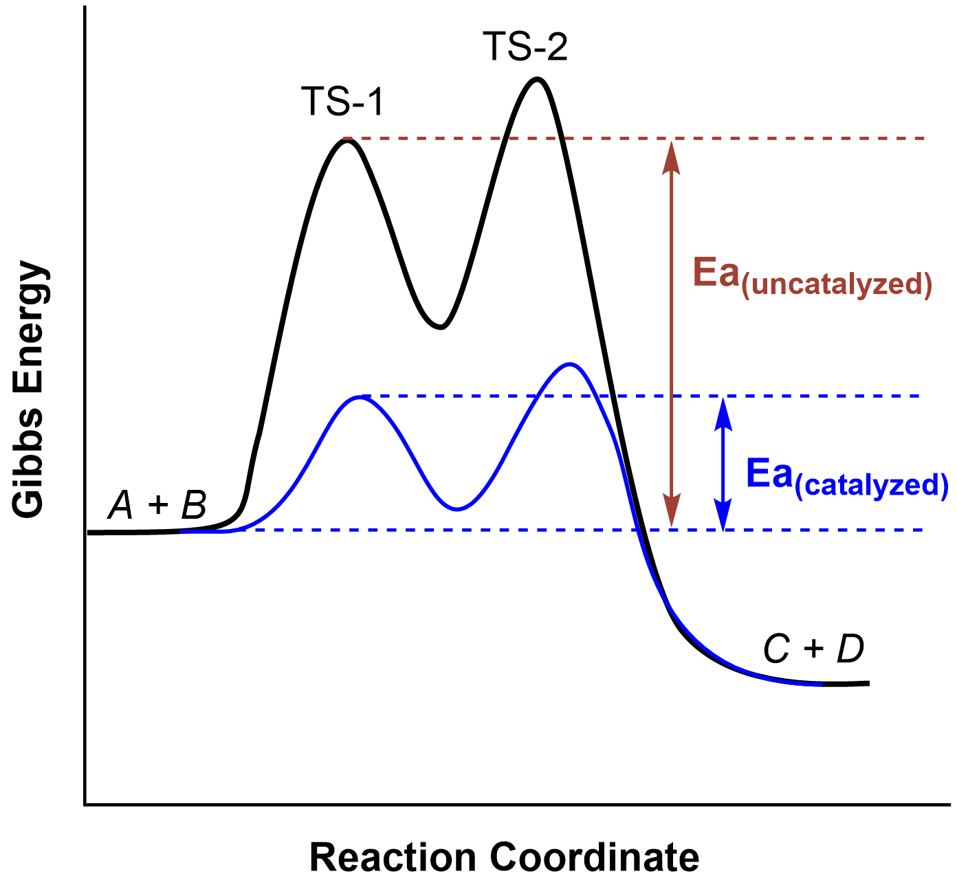 Catalysis – Introductory Chemistry