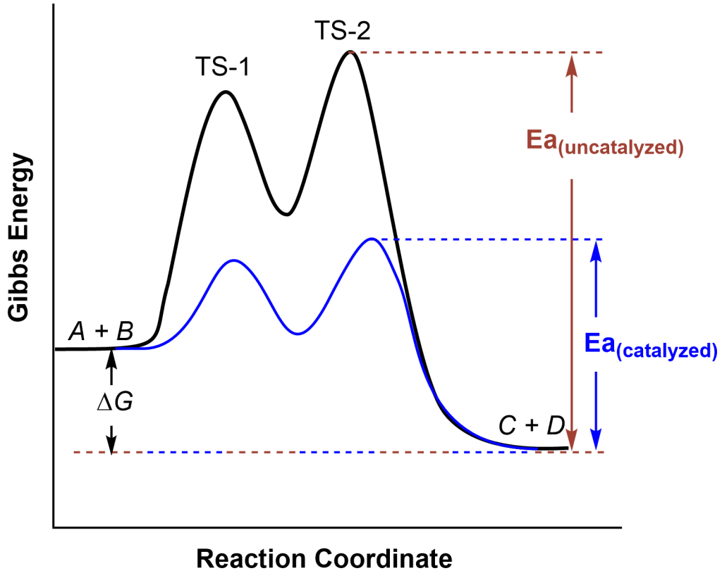 Catalysis – Introductory Chemistry